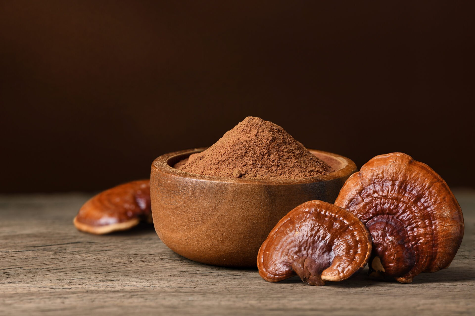 Medichin Reishi, discover the power of real Ganoderma mushroom ...